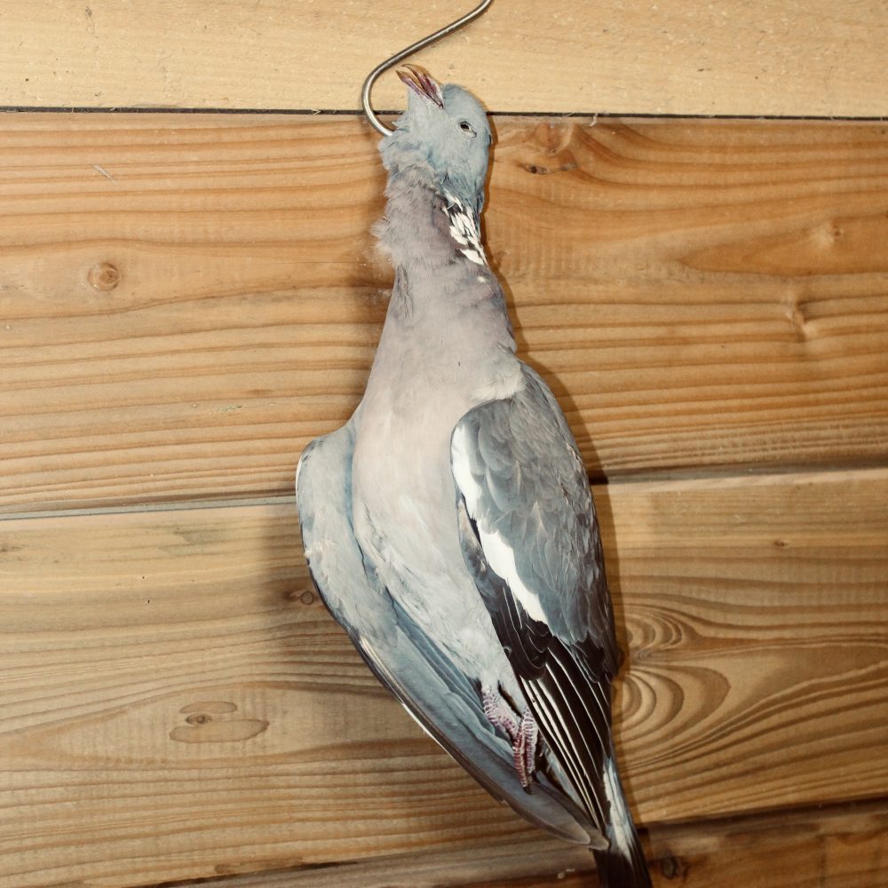 Venison Offal & By-Products | Curtis Pitts Deer Services